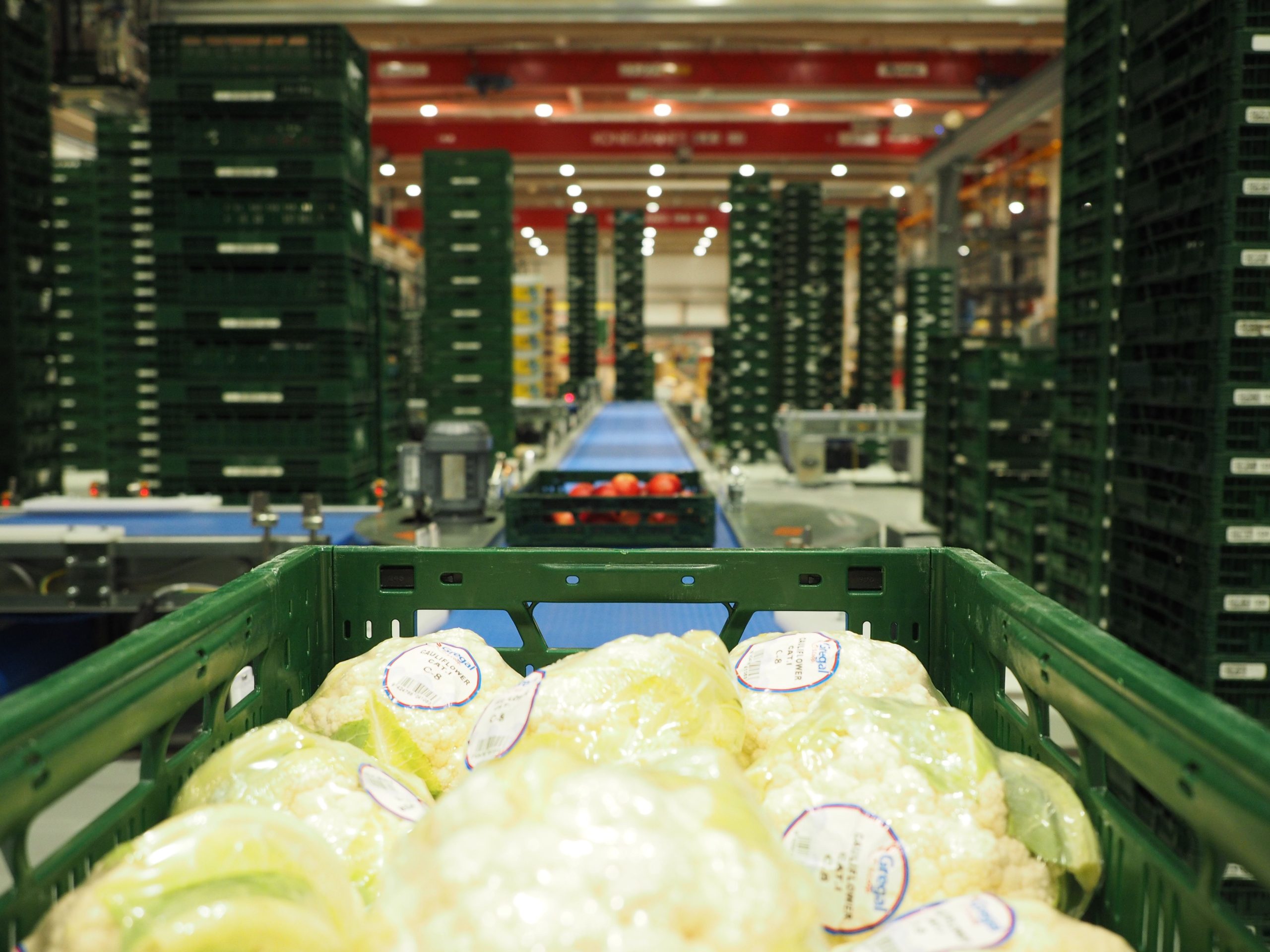 Automation helps Mercadona get fresh produce from field to store within ...